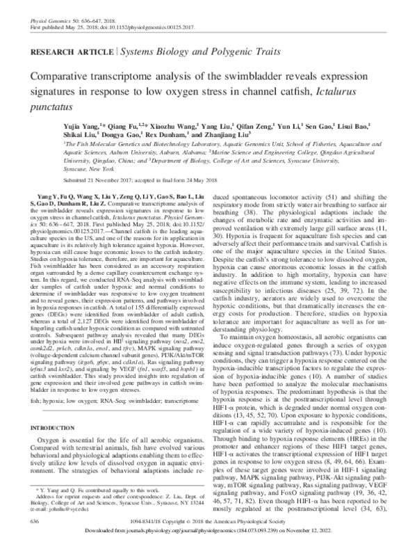 (PDF) Comparative transcriptome analysis of the swimbladder reveals ...
