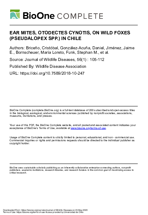 (PDF) Ear Mites, Otodectes Cynotis, on Wild Foxes (Pseudalopex SPP.) in ...