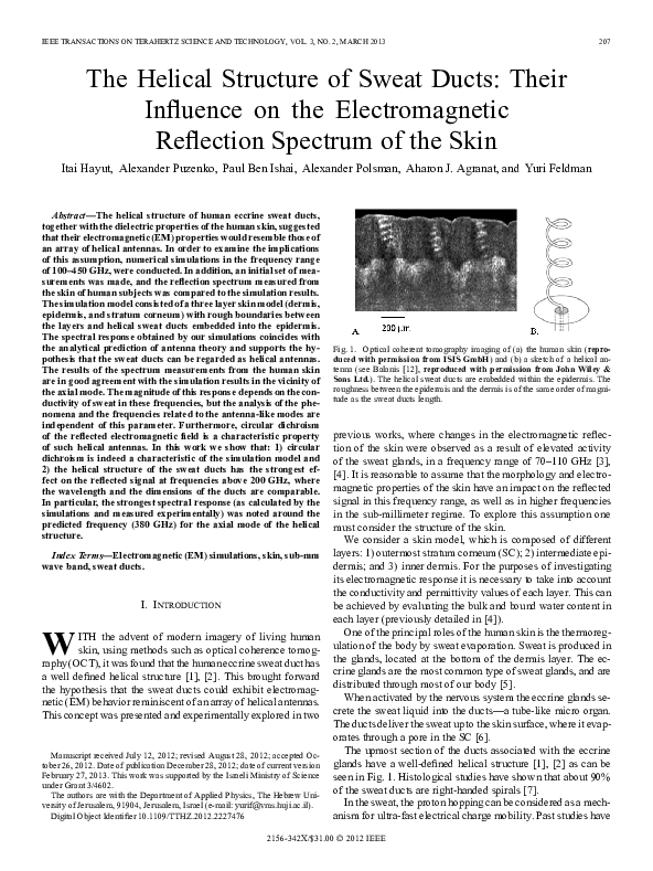 (PDF) The Helical Structure of Sweat Ducts: Their Influence on the ...
