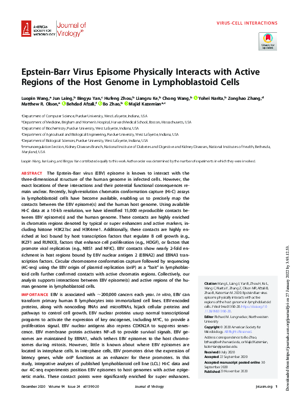 (PDF) Epstein-Barr Virus Episome Physically Interacts with Active ...