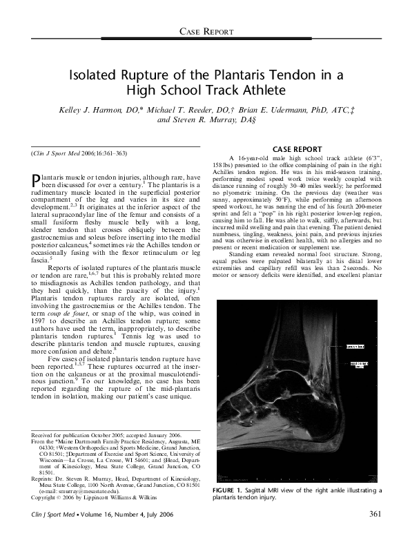 (PDF) Isolated Rupture of the Plantaris Tendon in a High School Track ...