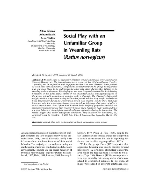 (PDF) Social play with an unfamiliar group in weanling rats (Rattus ...