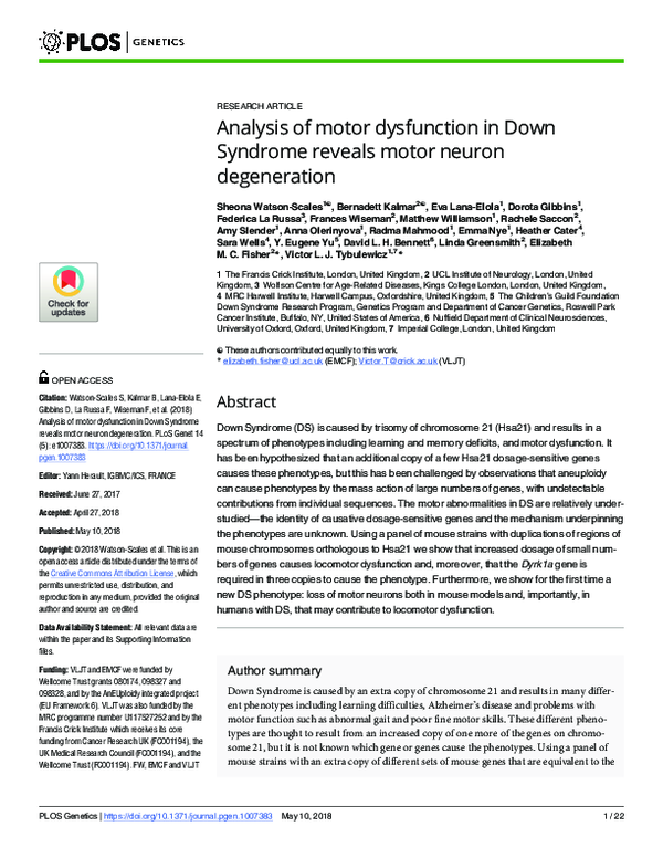 (PDF) Analysis of motor dysfunction in Down Syndrome reveals motor ...