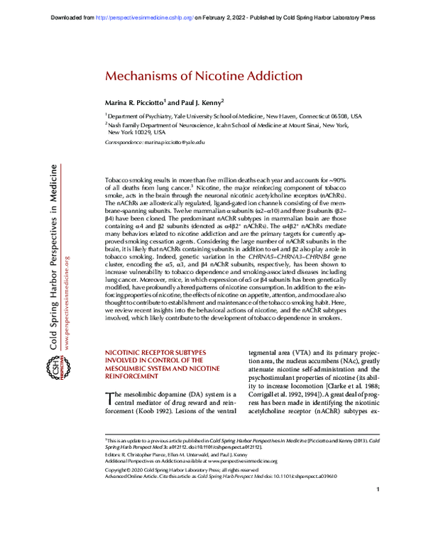 (PDF) Mechanisms of Nicotine Addiction