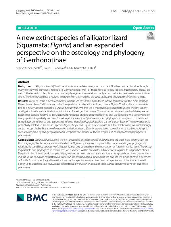 (PDF) A new extinct species of alligator lizard (Squamata: Elgaria) and ...