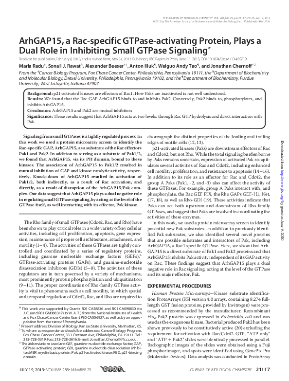 (PDF) ArhGAP15, a Rac-specific GTPase-activating Protein, Plays a Dual ...
