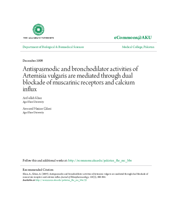 (PDF) Antispasmodic and bronchodilator activities of Artemisia vulgaris ...
