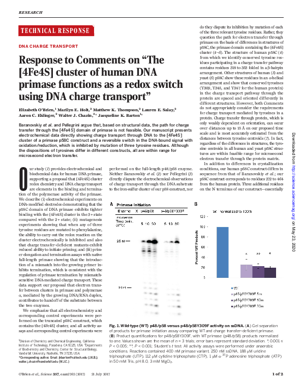 (PDF) Response to Comments on "The [4Fe4S] cluster of human DNA primase ...