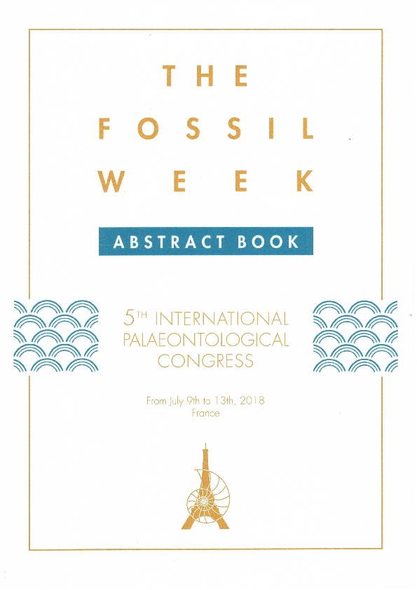 (PDF) The forgotten fossils of the Cradle of Humankind: the example of ...