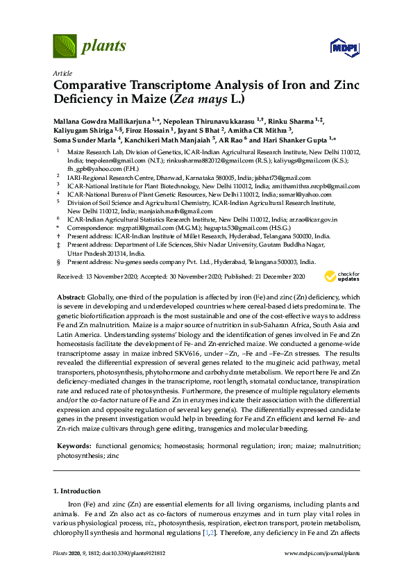 Pdf Comparative Transcriptome Analysis Of Iron And Zinc Deficiency In