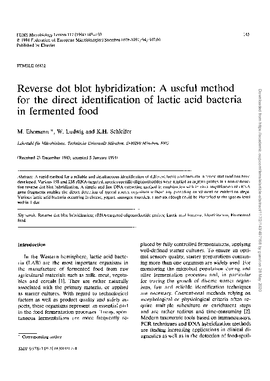 (PDF) Reverse dot blot hybridization: A useful method for the direct ...