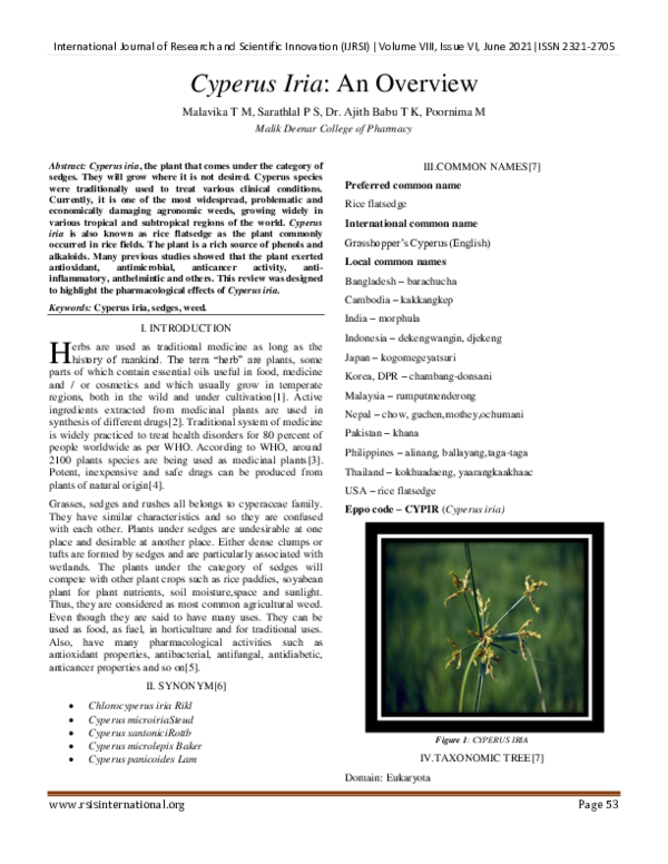 (PDF) Cyperus Iria: An Overview