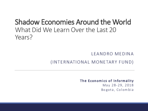 (PDF) Shadow Economies Around the World: What Did We Learn Over the ...