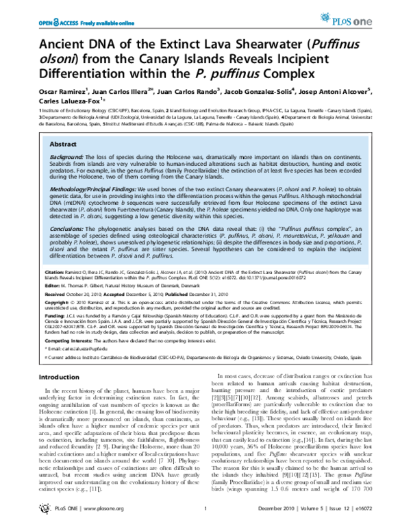 (PDF) Ancient DNA of the Extinct Lava Shearwater (Puffinus olsoni) from ...