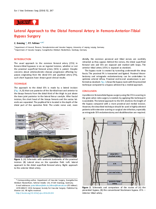 Pdf Lateral Approach To The Distal Femoral Artery In Femoro Anterior