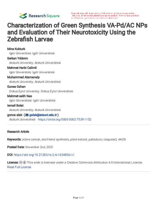 (PDF) Characterization of Green Synthesis VA-Pd/AC NPs and Evaluation of Their Neurotoxicity ...