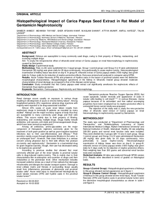 (PDF) Histopathological Impact of Carica Papaya Seed Extract in Rat ...