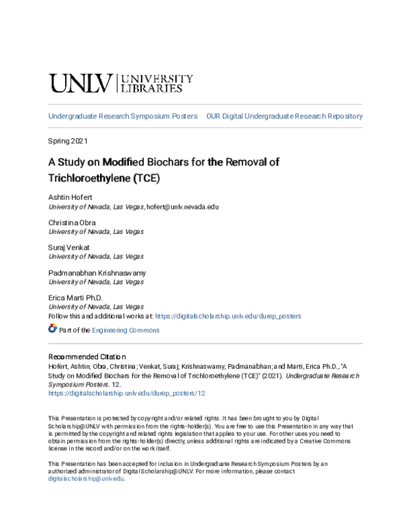 (PDF) A Study on Modified Biochars for the Removal of Trichloroethylene (TCE)