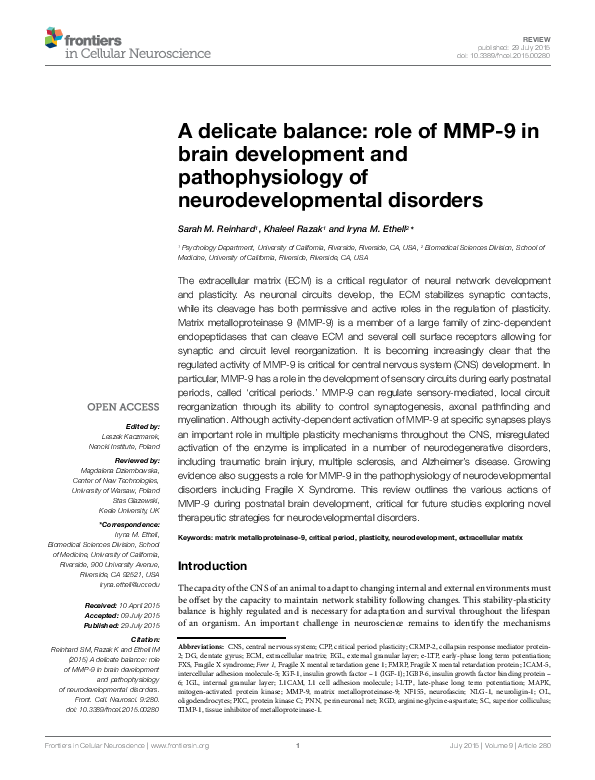 (PDF) A delicate balance: role of MMP-9 in brain development and ...