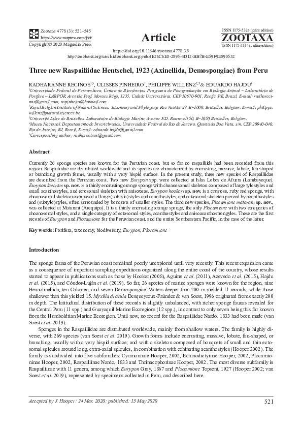 (PDF) Three new Raspailiidae Hentschel, 1923 (Axinellida, Demospongiae ...