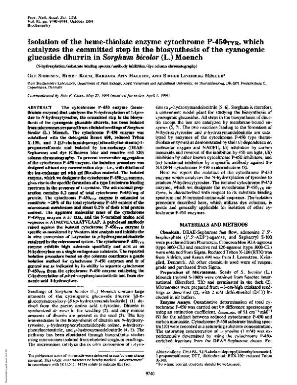 (PDF) Isolation of the heme-thiolate enzyme cytochrome P-450TYR, which ...