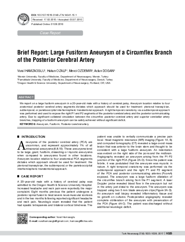 (PDF) Brief report: large fusiform aneurysm of a circumflex branch of ...