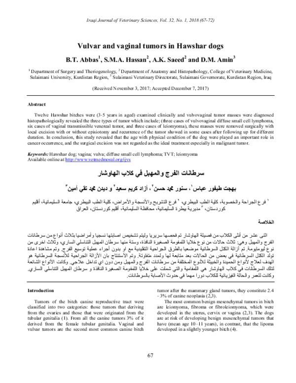 (PDF) Vulvar and vaginal tumors in Hawshar dogs