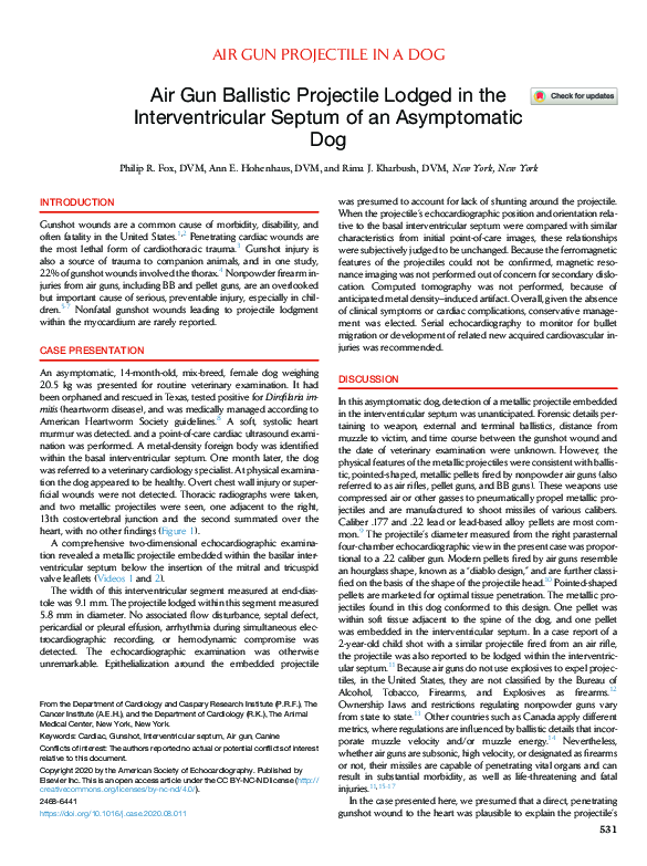 (PDF) Air Gun Ballistic Projectile Lodged in the Interventricular ...