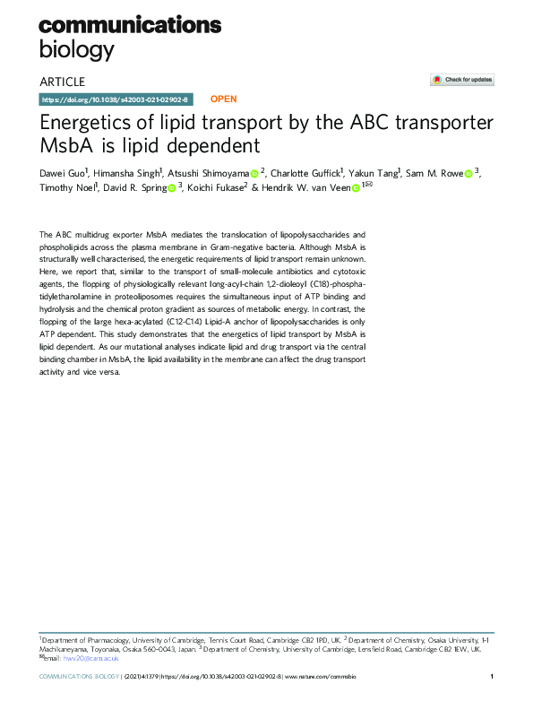 (PDF) Energetics of lipid transport by the ABC transporter MsbA is ...