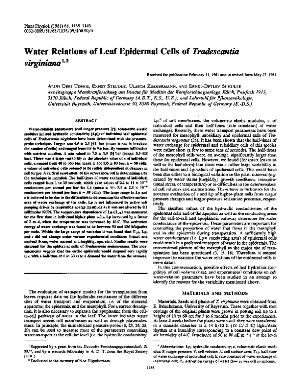 (PDF) Water Relations of Leaf Epidermal Cells of Tradescantia virginiana