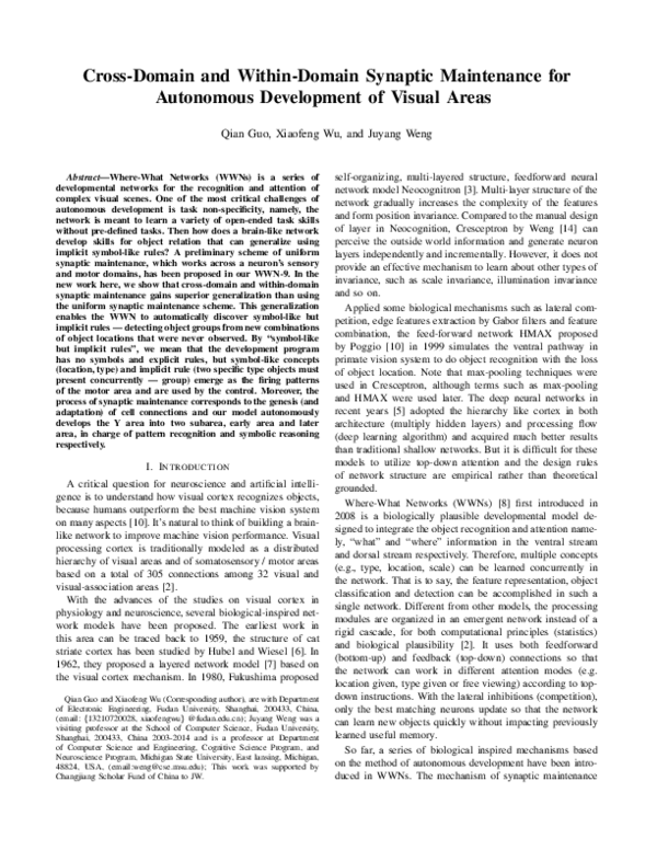 (PDF) Cross-domain and within-domain synaptic maintenance for ...
