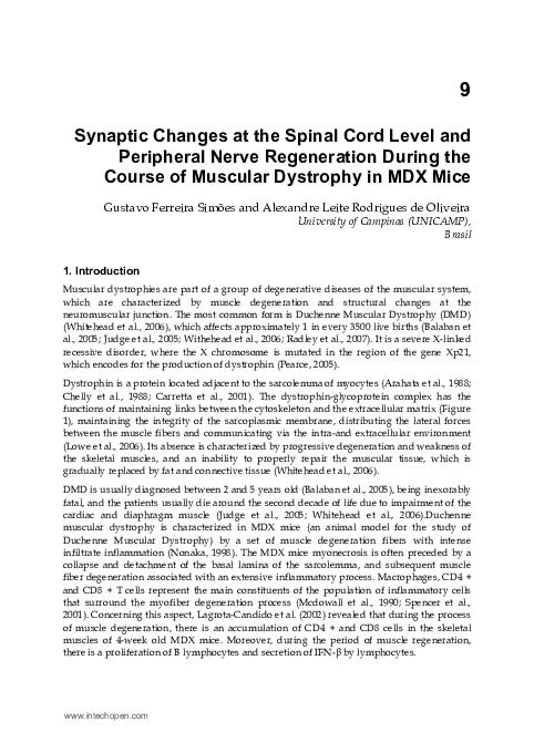 (PDF) Synaptic Changes at the Spinal Cord Level and Peripheral Nerve ...