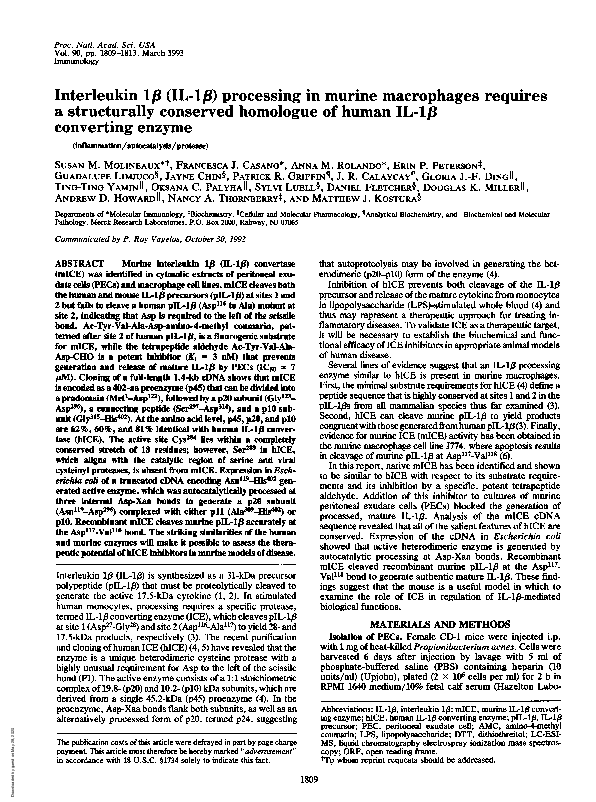 (PDF) Interleukin 1 beta (IL-1 beta) processing in murine macrophages ...