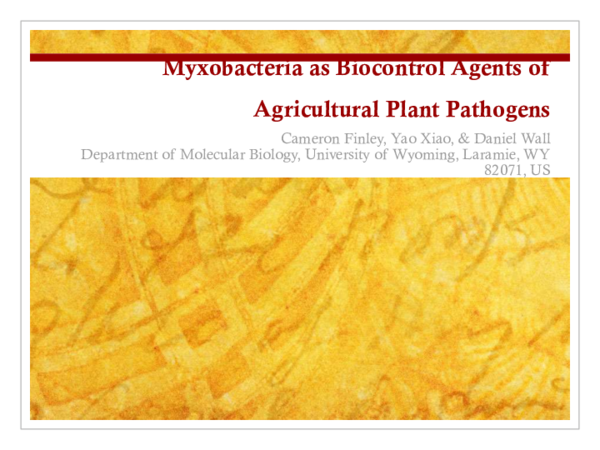 (PDF) Myxobacteria as Biocontrol Agents of Agricultural Plant Pathogens
