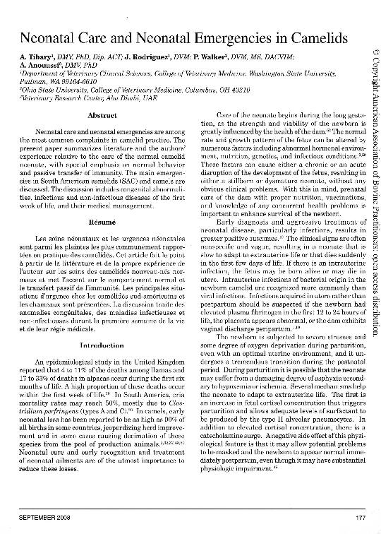 (PDF) Neonatal Care and Neonatal Emergencies in Camelids