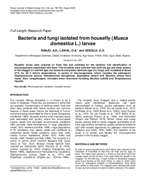 (PDF) Bacteria and fungi isolated from housefly (Musca domestica L.) larvae