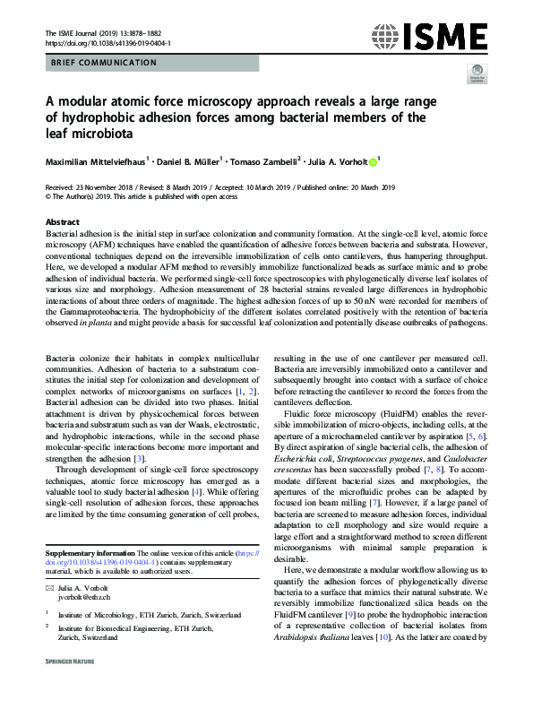 A modular atomic force microscopy approach reveals a large range of ...