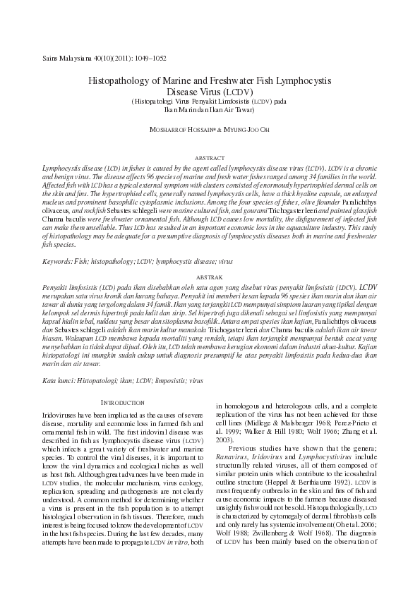 (PDF) Histopathology of Marine and Freshwater Fish Lymphocystis Disease ...