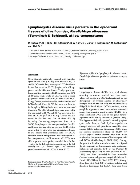 (PDF) Lymphocystis disease virus persists in the epidermal tissues of ...