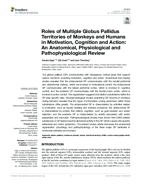 (PDF) Roles of Multiple Globus Pallidus Territories of Monkeys and ...