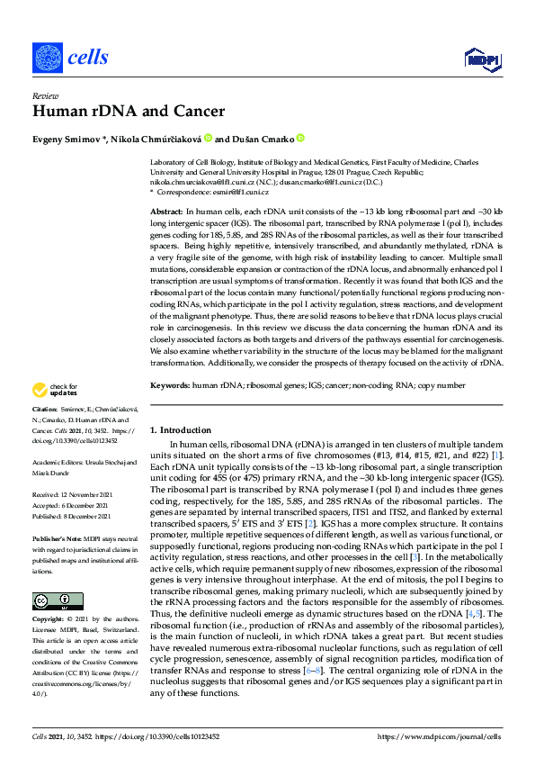 (PDF) Human rDNA and Cancer
