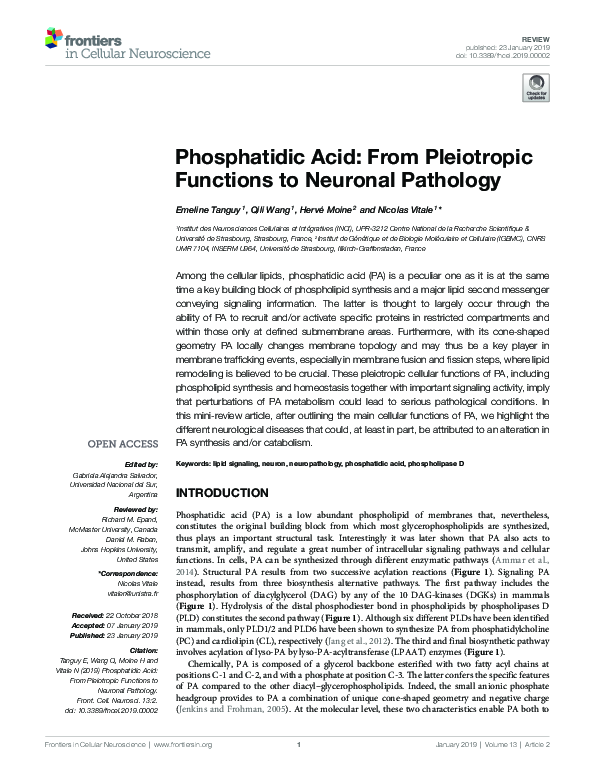 (PDF) Phosphatidic Acid: From Pleiotropic Functions to Neuronal Pathology
