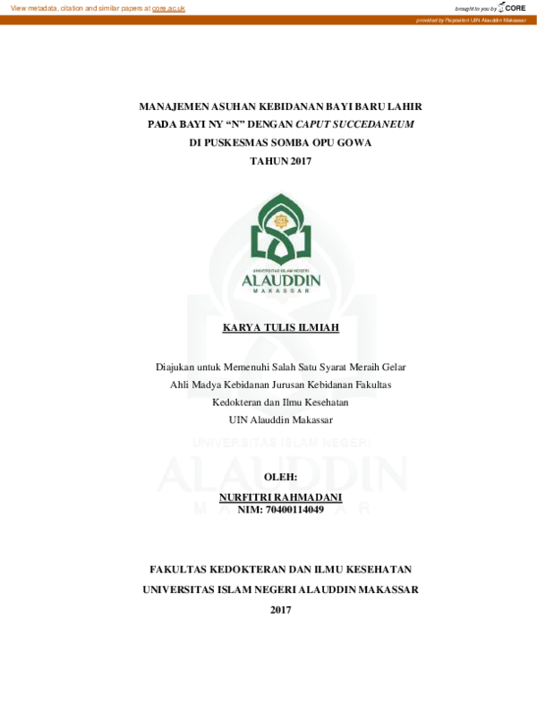 (PDF) Manajemen Asuhan Kebidanan Bayi Baru Lahir pada Ny "N" dengan ...