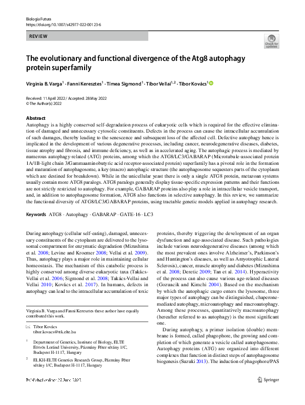 (PDF) Evolution of Atg8: Function and Divergence