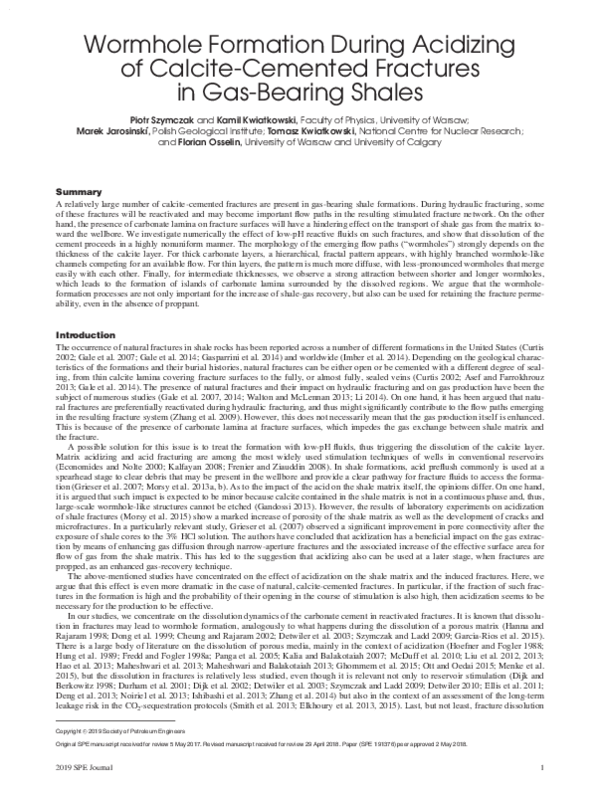 (PDF) Wormhole Formation During Acidizing of Calcite-Cemented Fractures ...