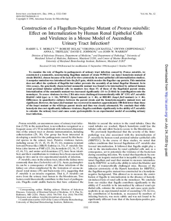 (PDF) Construction of a flagellum-negative mutant of Proteus mirabilis ...