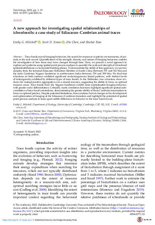 (PDF) A new approach for investigating spatial relationships of ...