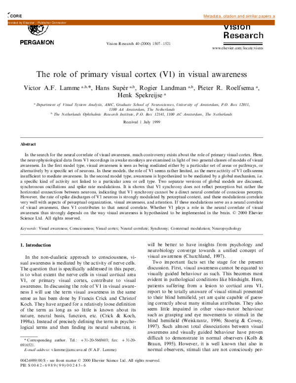 (PDF) The role of primary visual cortex (V1) in visual awareness