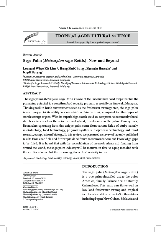 (PDF) Sago palm (Metroxylon sagu Rottb.): now and beyond