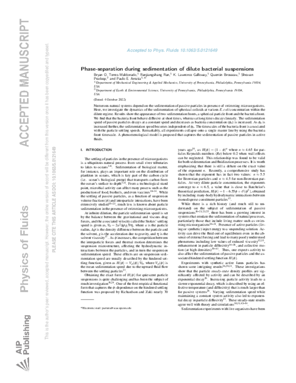 (PDF) Phase separation during sedimentation of dilute bacterial suspensions